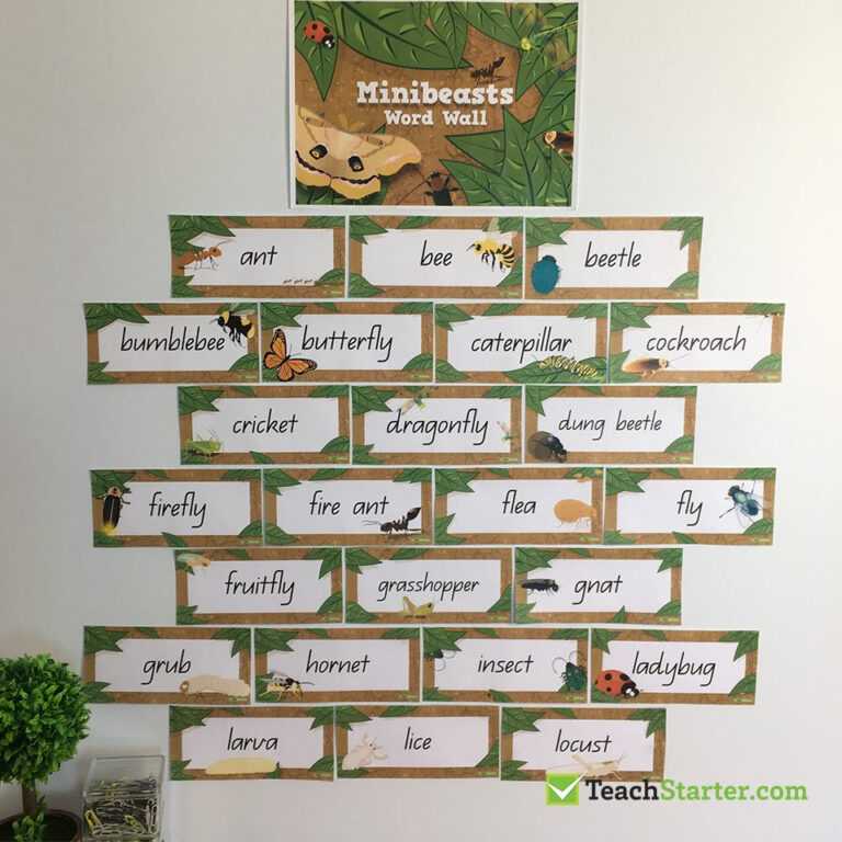 27 Practical Word Wall Ideas For The Classroom | Teach Starter for ...