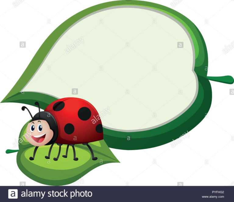 Border Template With Ladybug On Leaf Illustration Stock intended for ...