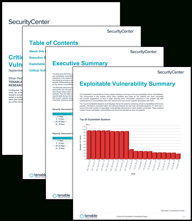 Critical And Exploitable Vulnerabilities Report – Sc Report inside ...
