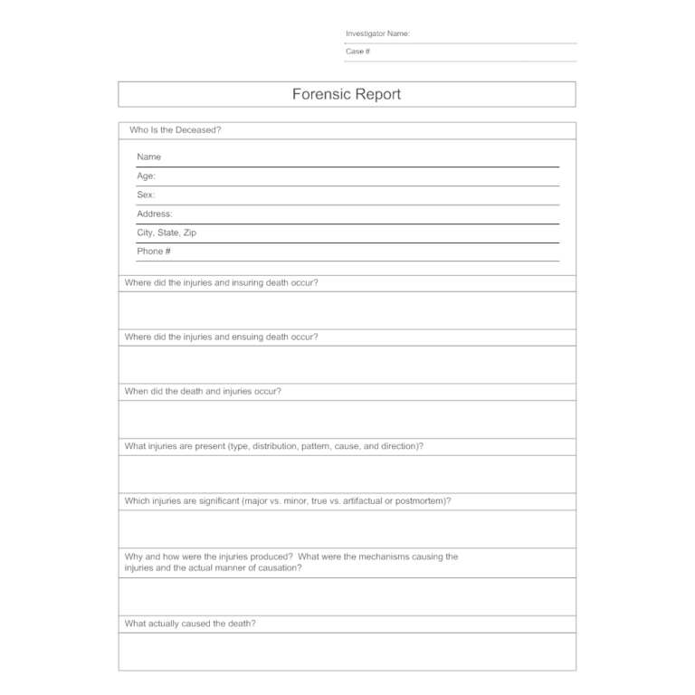 Forensic Accounting Report Template – Creative Sample Templates