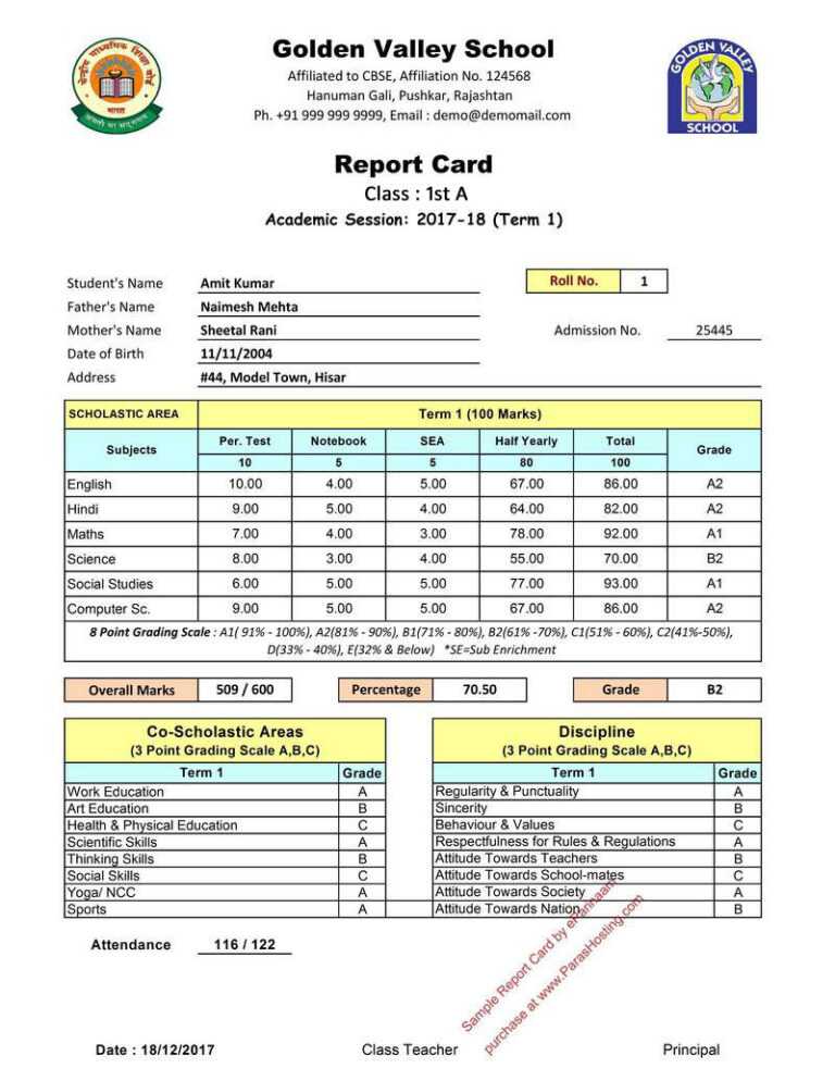 Report Card Format – Dalep.midnightpig.co inside Soccer Report Card ...