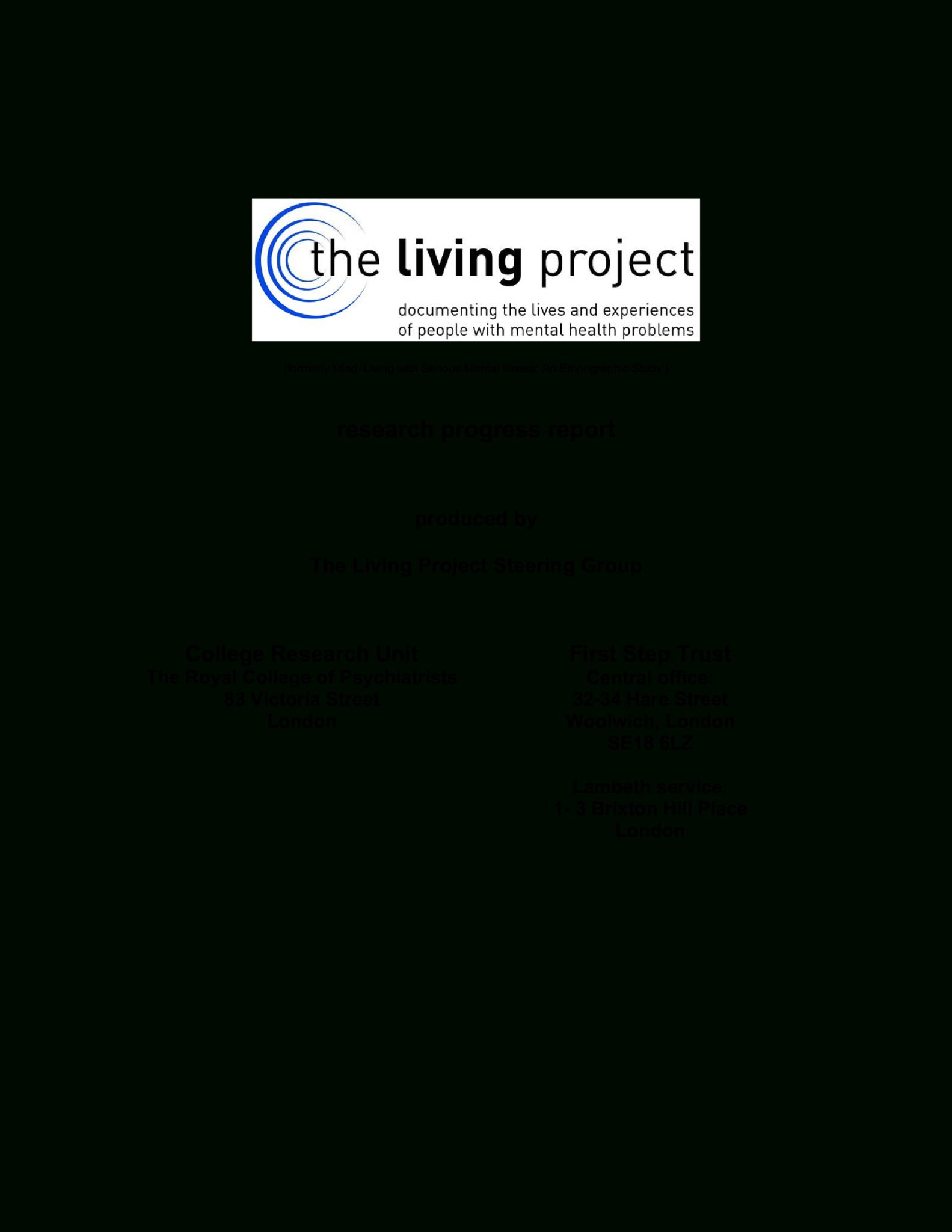 Research Progress Report Sample | Templates At inside Research Project ...