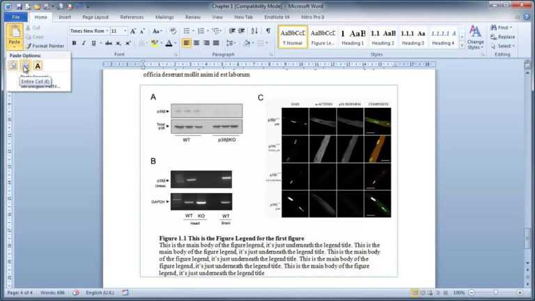 Thesis Writing In Microsoft Word :-Inserting Figures And Legends ...